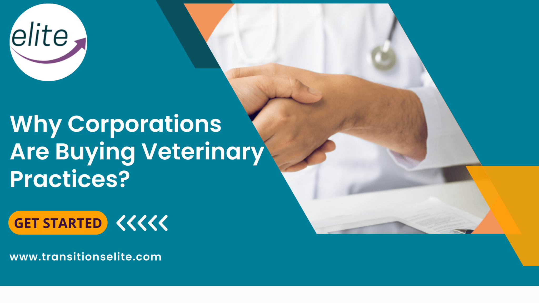 Why Corporations Are Buying Veterinary Practices? - Transitions Elite