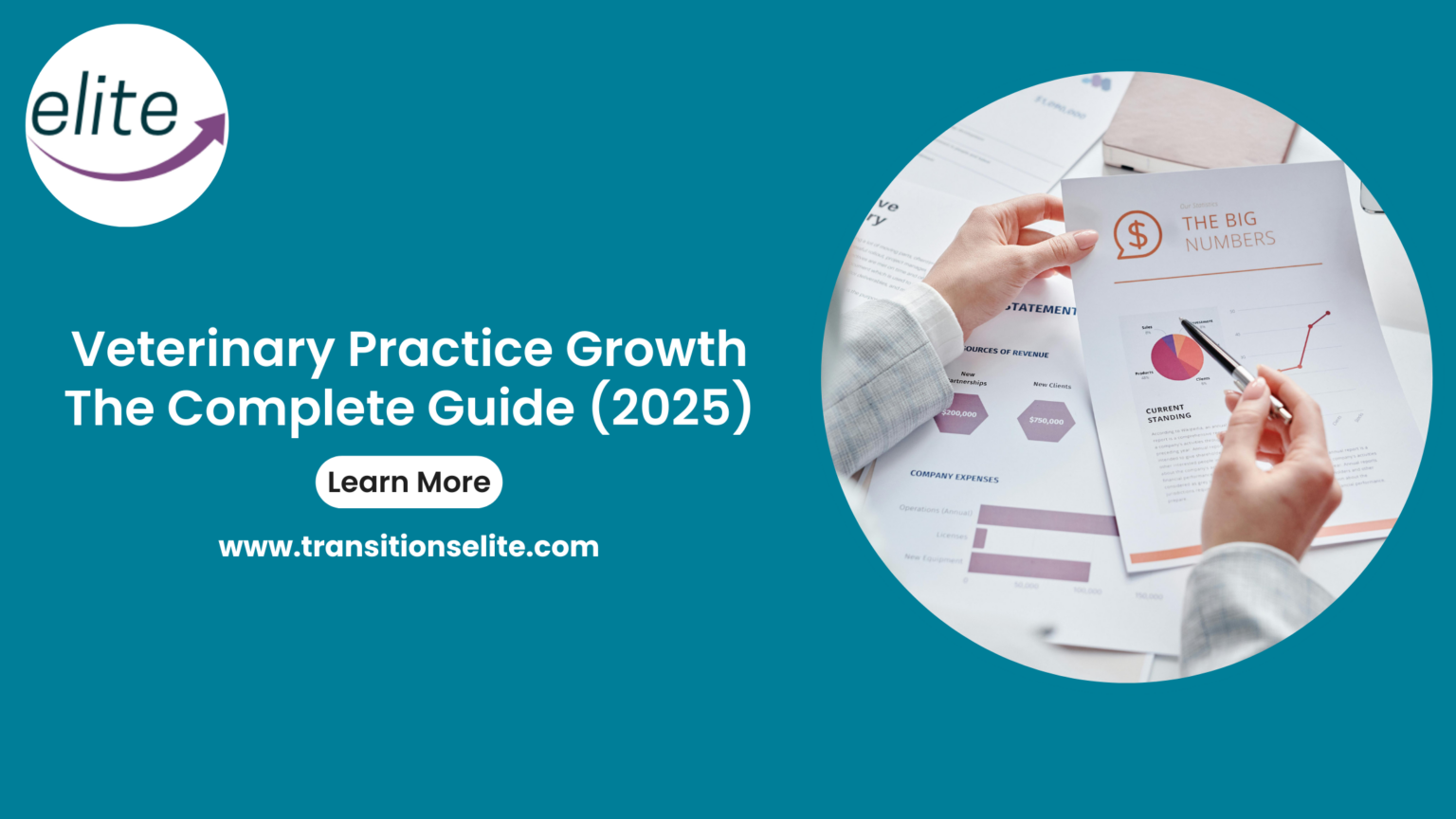 Veterinary Practice Growth - The Complete Guide (2025)