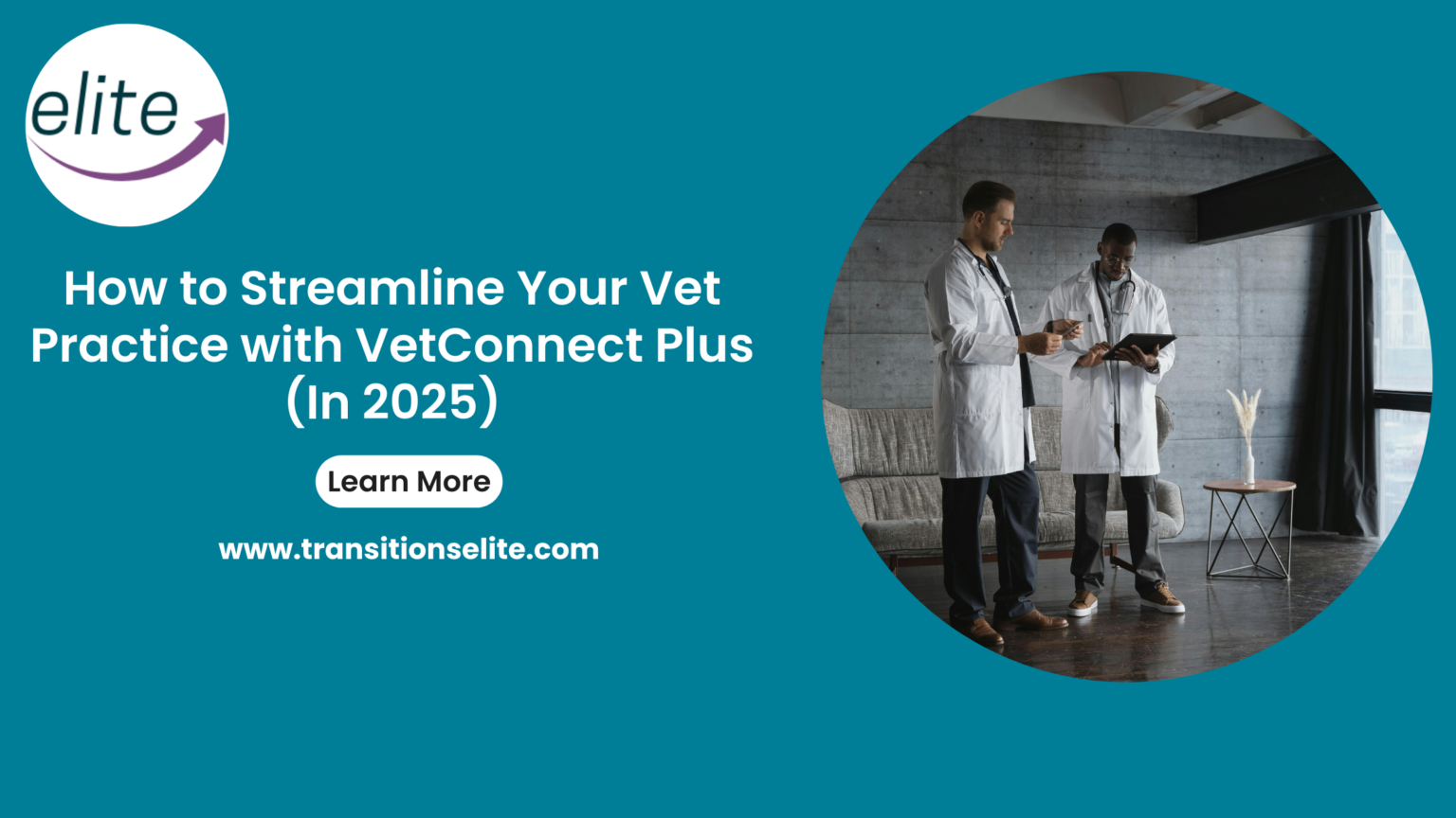 How to Streamline Your Vet Practice with VetConnect Plus (2025)