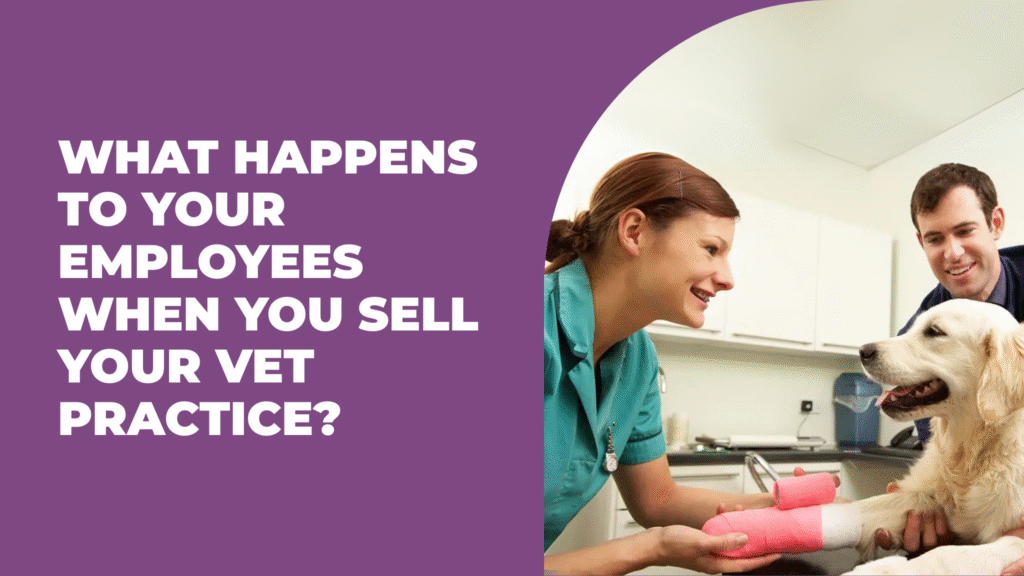 What Happens to Your Employees When You Sell Your Vet Practice?