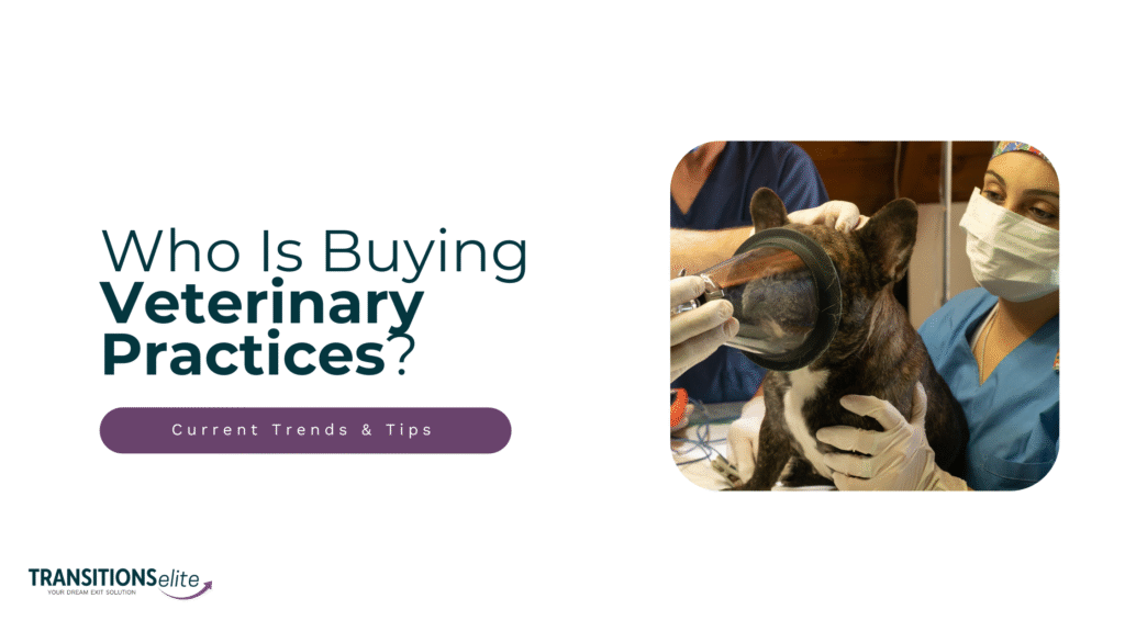 Who Is Buying Veterinary Practices