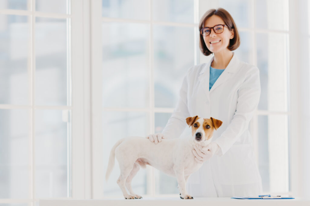40 Veterinary Industry Statistics That Impact Valuation